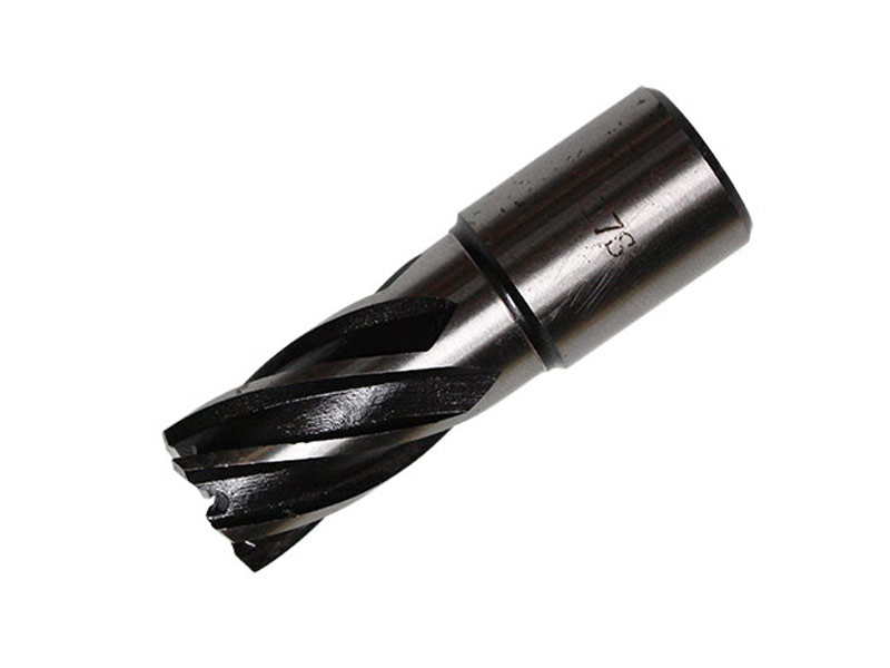 17mm Rotabor M2 Short Cutter | PWP Industrial